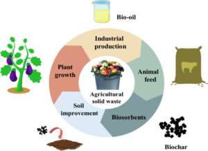 Farm waste management: how to level up agriculture? | Shapiro