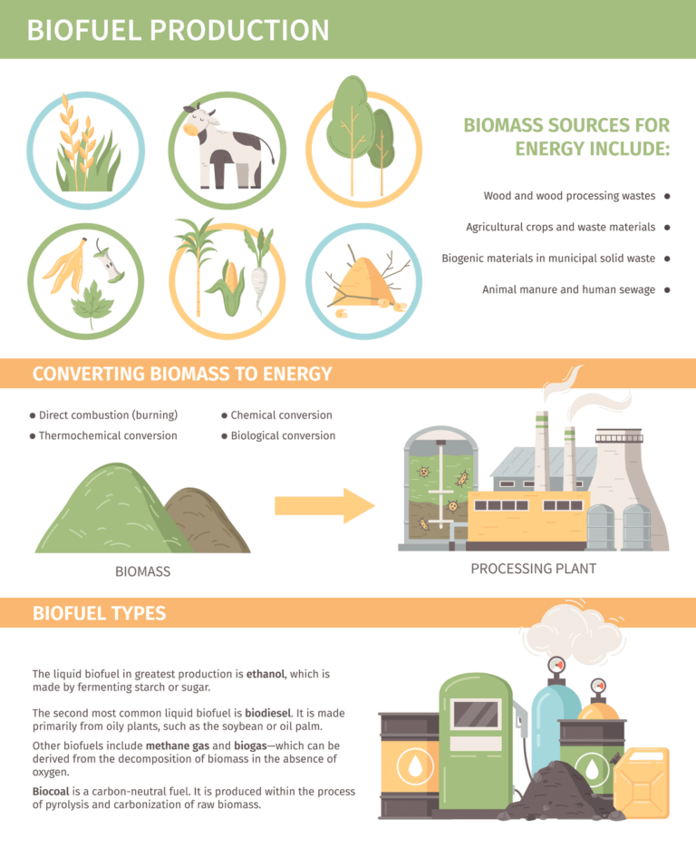 Biogas: Definition, Uses, Types & Sources | Shapiro