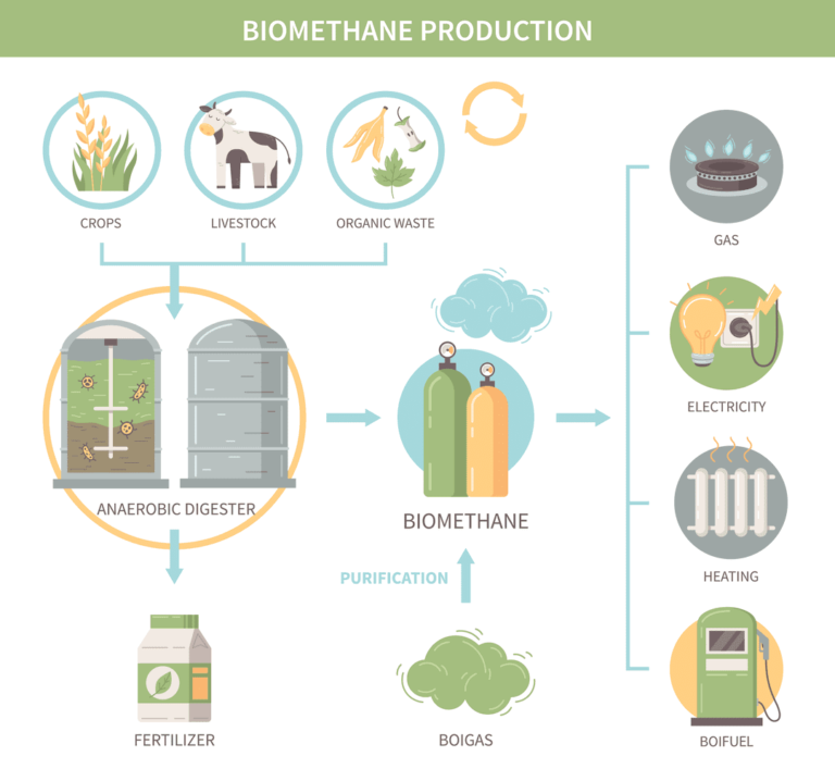 Biogas: Definition, Uses, Types & Sources | Shapiro