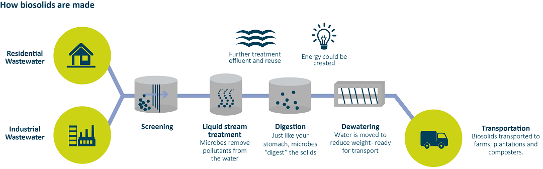 Understanding Biosolid Management in Modern Agriculture | Shapiro