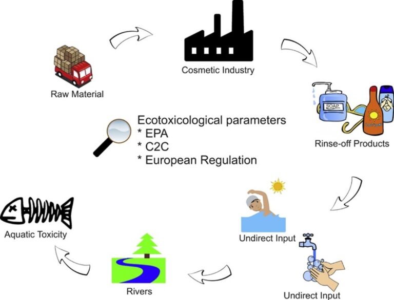Why Cosmetics Disposal Is Important and How to Do It? | Shapiro