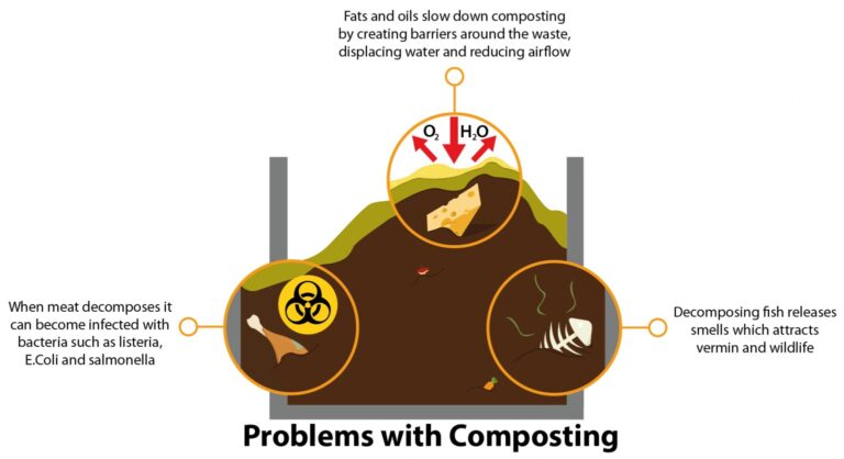 Butchery Waste Solutions: Meat Waste Disposal | Shapiro