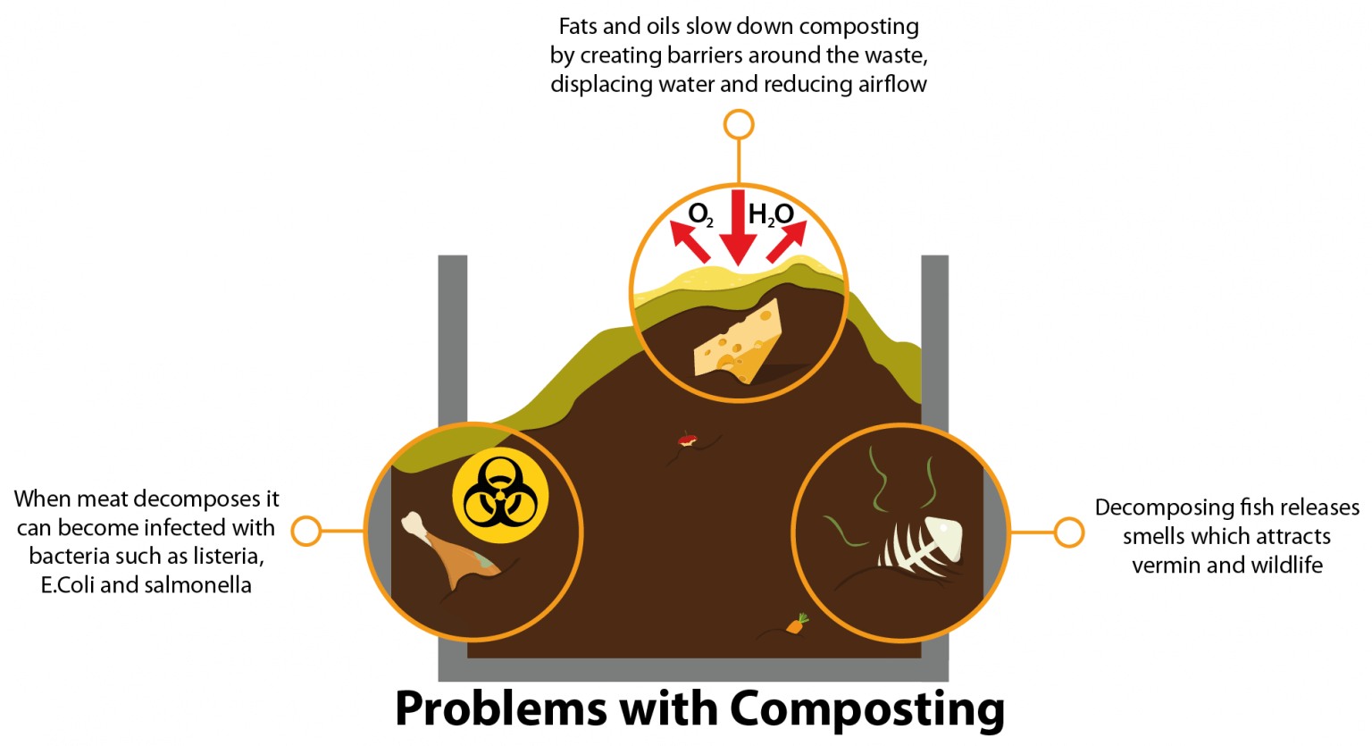 Butchery Waste Solutions: Meat Waste Disposal | Shapiro