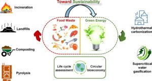 Converting Food Waste to Energy: Ultimate Guide | Shapiro
