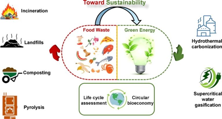 Converting Food Waste to Energy: Ultimate Guide | Shapiro