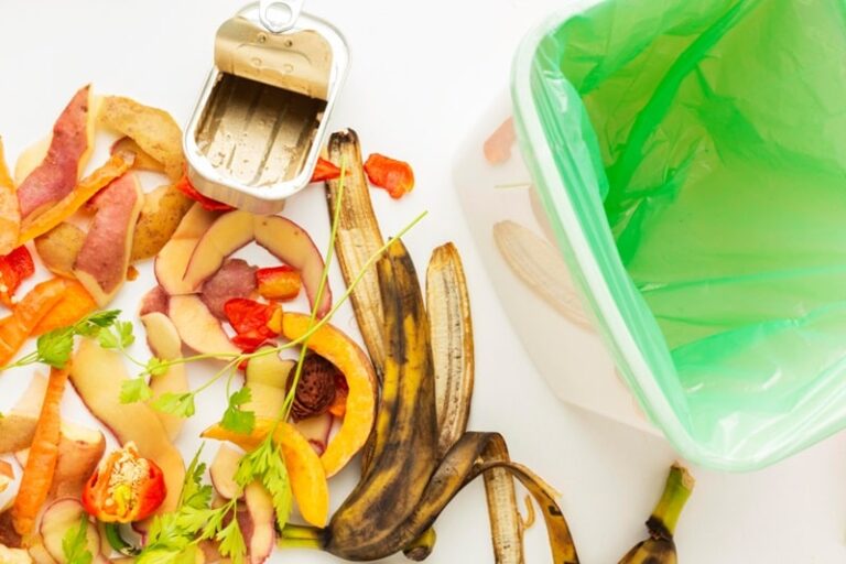 Food Waste by State: Most & Least Wasteful States | Shapiro