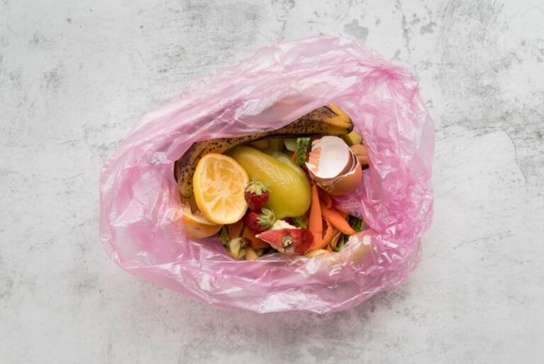 How Overconsumption and Overproduction Drive Food Waste | Shapiro