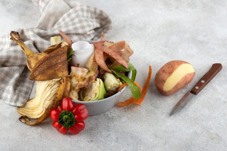 Recycling & Composting Food Scraps: How To Do It? | Shapiro