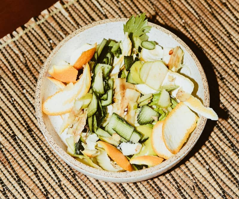 Recycling & Composting Food Scraps: How To Do It? | Shapiro