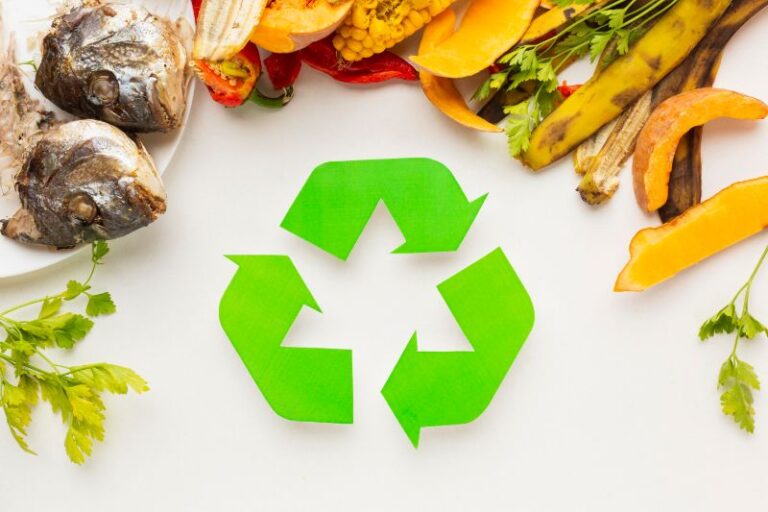 Carbon Emissions from Food Waste: A Business Perspective | Shapiro
