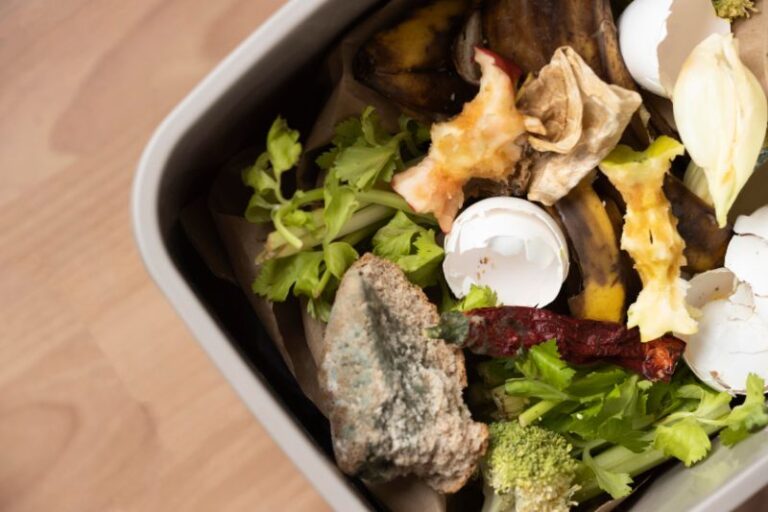 Carbon Emissions from Food Waste: A Business Perspective | Shapiro