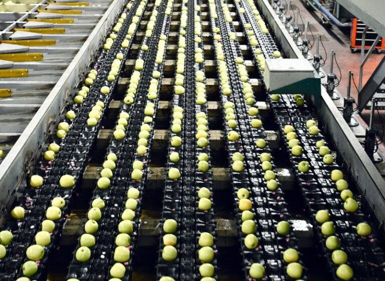 Reducing Food Waste in Manufacturing | Shapiro