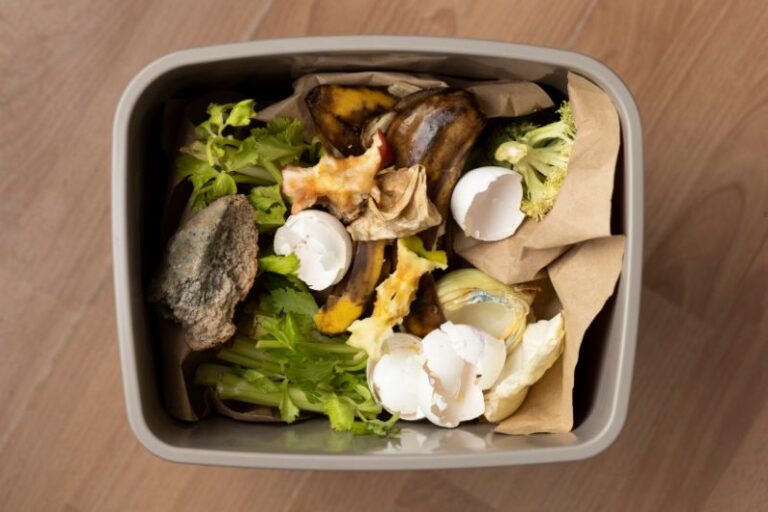 Economic & Environmental Benefits of Reducing Food Waste | Shaprio