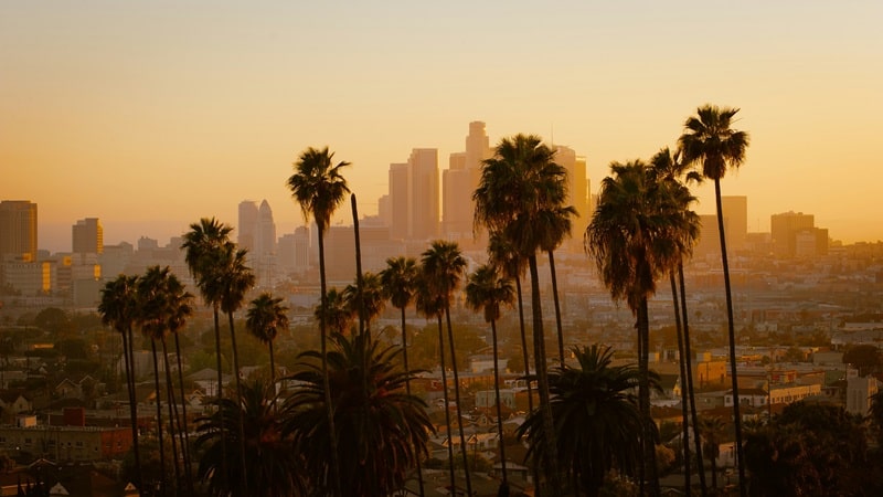 Complete Guide to Food Waste Recycling in Los Angeles | Shapiro