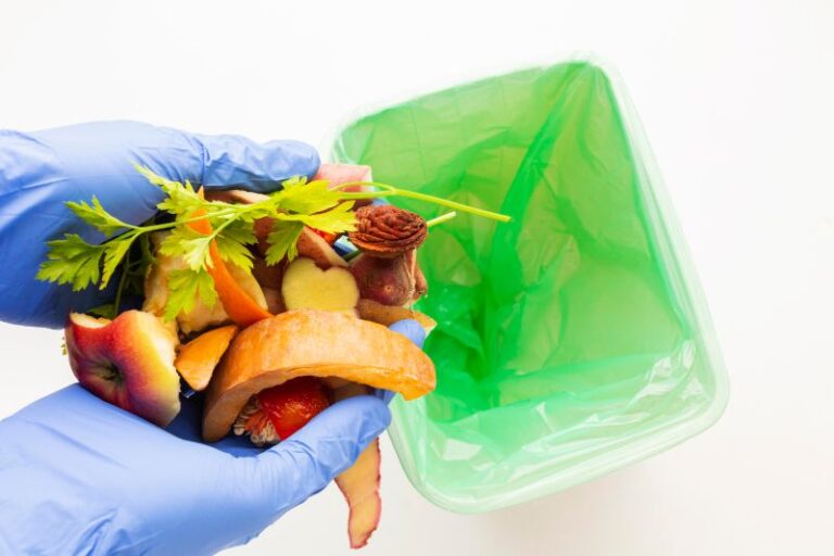 Complete Guide to Food Waste Recycling in Los Angeles | Shapiro
