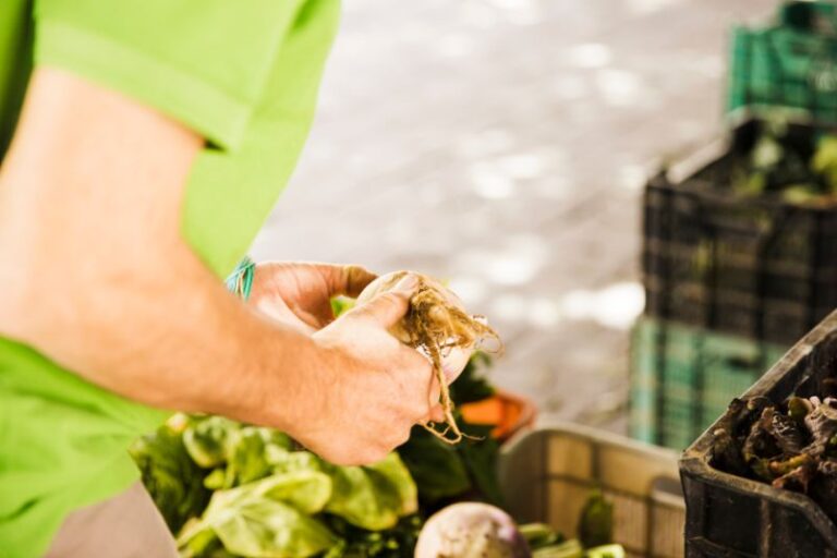 Complete Guide to Food Waste Recycling in Los Angeles | Shapiro