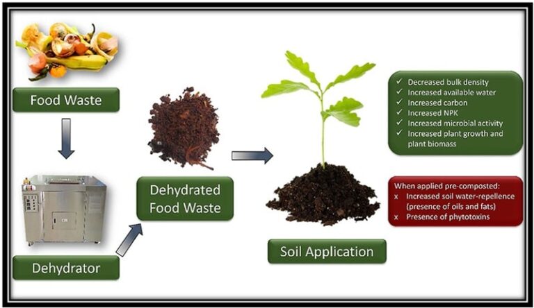 Turning Food Waste Into Fertilizer: Methods & Benefits | Shapiro