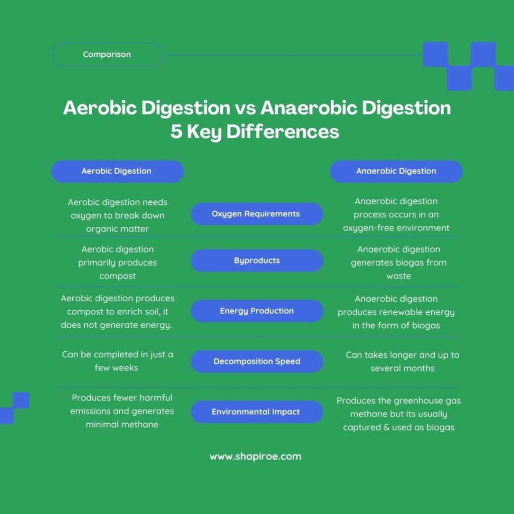 Aerobic vs Anaerobic Digestion: Key Differences Explained | Shapiro