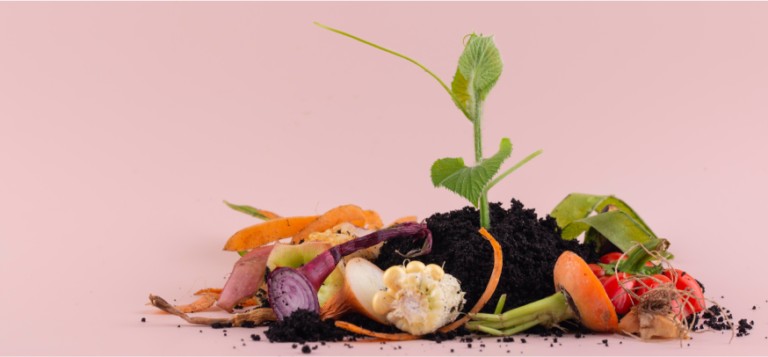 Understanding Food Waste | Causes, Facts & Resources - Shapiro