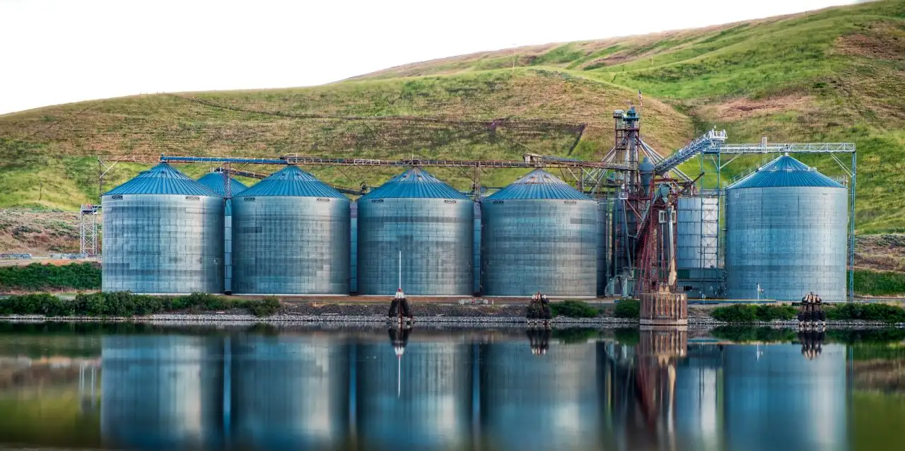 The Role of Biogas Generators in Renewable Energy Production | Shapiro